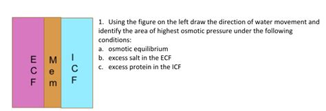 Solved Using The Figure On The Left Draw The Direction Of Water Movement And Identify The Area