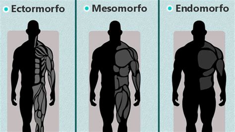 Rosto Ecto Mesomorfo