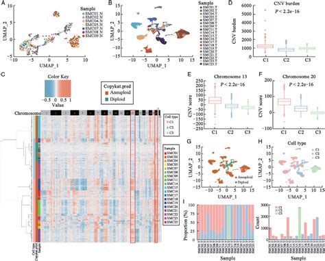 Single Cell Profiling Of The Copy Number Heterogeneity In Co