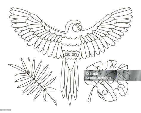 어린이와 성인을위한 손으로 그리기 색칠 공부 페이지 열대와 아름다운 색칠 공부 책 앵무새가 괴물의 잎 사이 나뭇가지에 날아간다 새와 정글의 선형 그림 앵무새에 대한 스톡