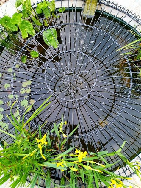 Dome Designs Creative Pond Covers Artofit