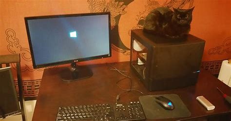 She Wanted To Help Install Windows Imgur