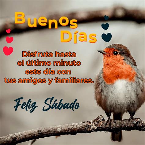 70 Imágenes De Feliz Sábado Imágenes Buenos Días