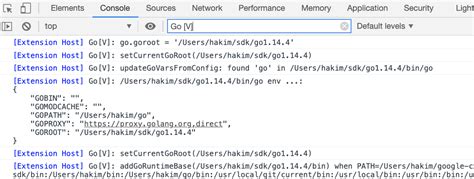 adding go runtime base to path interacts very badly with goenv · issue 1098 · golang vscode go