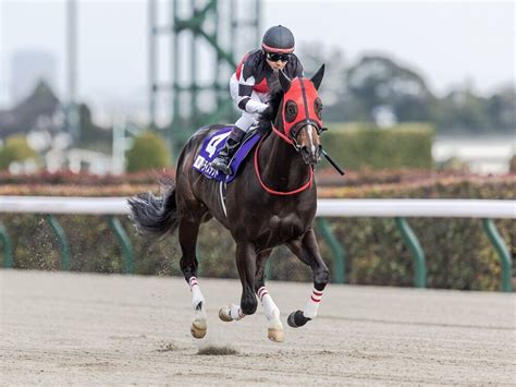 Ygg出資4歳馬ドライスタウト、通算8走目を終える 一口馬主クロキリ