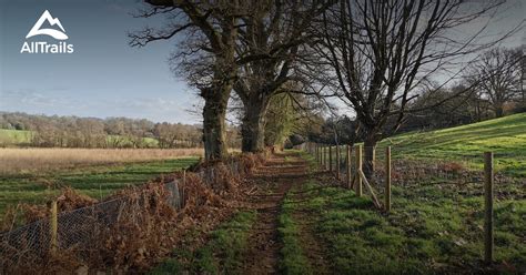 10 Best Trails And Hikes In Midhurst Alltrails