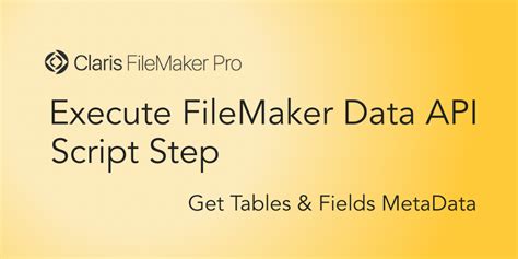 The Execute FileMaker Data API Getting The FileMaker MetaData Proof Geist