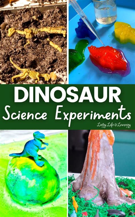 Life Science Experiments For 3rd Graders At Henry Gale Blog