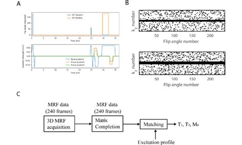 A Schematic Overview Of The Mrf Pulse Sequence This Includes The Time Download Scientific