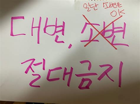 다이소 변기 뚫어뻥 막힌 화장실 뚜러뻥 뚫기 사용법 네이버 블로그