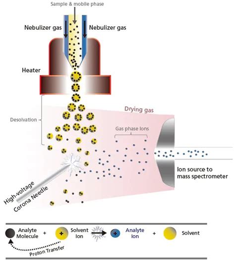 Interfaces For LC MS Shimadzu SOPS