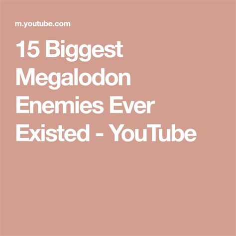 15 Biggest Megalodon Enemies Ever Existed Youtube Megalodon Enemy