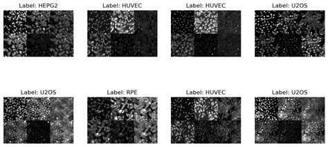 Multispectral Classification Biomonai