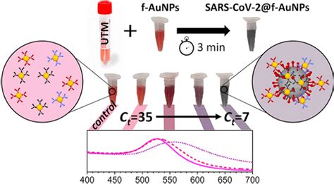 Schematic Reveals A Colorimetric Biosensor For The Sars Cov 2 Download Scientific Diagram