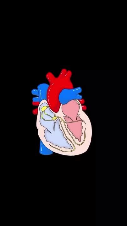 Reza Mirzaei Posted On Linkedin