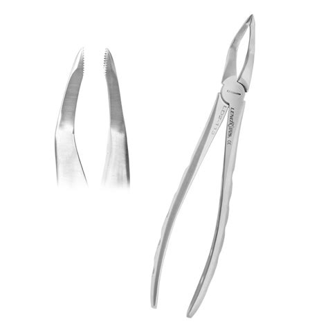 Bayonet Upper Roots Forceps