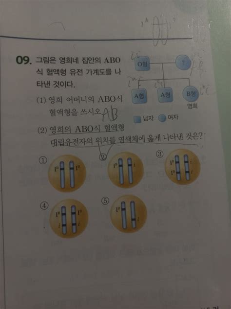 생명과학 유전 문제 풀이 이해가 안되요 지식in