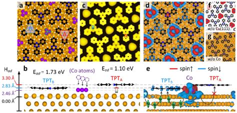Structure And Spin Simulations Of Full Doped Co In Tpt Porous Download Scientific Diagram