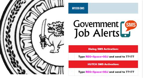 myjobs lk innobot pvt ltd is hiring now 🔍 open positions data analyst senior software