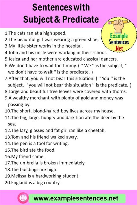 Sentences With Subject And Predicate Examples Example Sentences