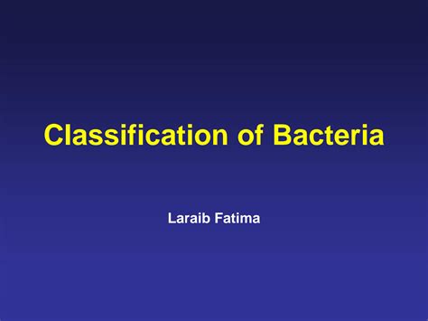 Solution Classification Of Bacteria Studypool Solution Classification Of Bacteria Studypool