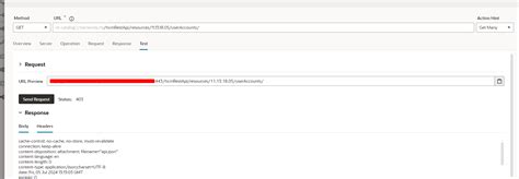 Api Returns An Error From Service Connection Hcmrestapiresources11