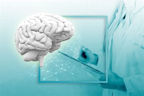 Estrés Y Cortisol Efectos En La Salud Y Cómo Reducir Sus Niveles