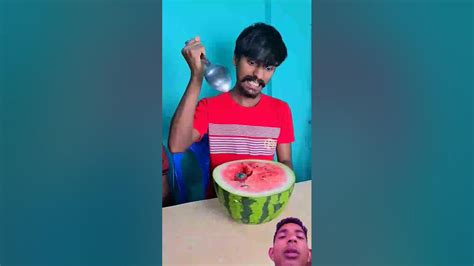 Dspshorts Comedy Watermelon Foxy 😂🍉🤣 Youtube
