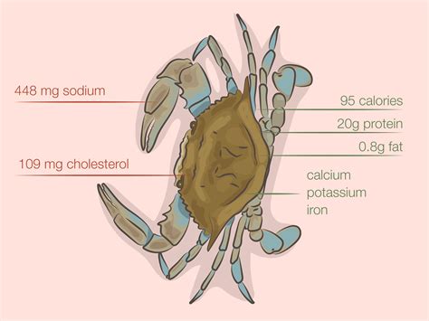 How To Eat Soft Shell Crab Buying Cleaning And Cooking Guide