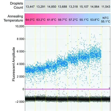 Temperature Gradient Pcr Result Of Fam Tamra Labeled Probes The Download Scientific Diagram