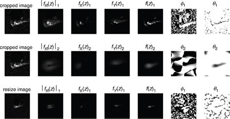 Monogenic Signals Components Calculated For One Mstar Dataset Sample