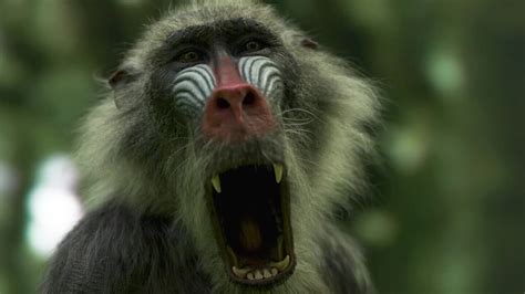 Ayan Basak Posted On Linkedin