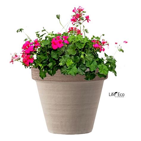 植木鉢 イタリア製 素焼き テラコッタ鉢 スタンダードポット コーヒースクラッチm 23cm【3個入】dr 0123j