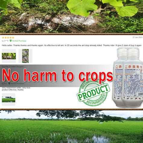 Termite Prevention Dpp Termite Killer Powder Anay Powder Anay Powder