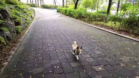 주말 비 가 또 쏟아 질꺼 같아요 Youtube