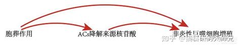 如何通过文献精读解析提升科研思维和课题设计能力？ 知乎