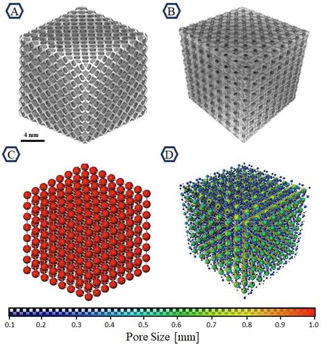 Pore Network Analysis Employed For Pore Size Distribution And