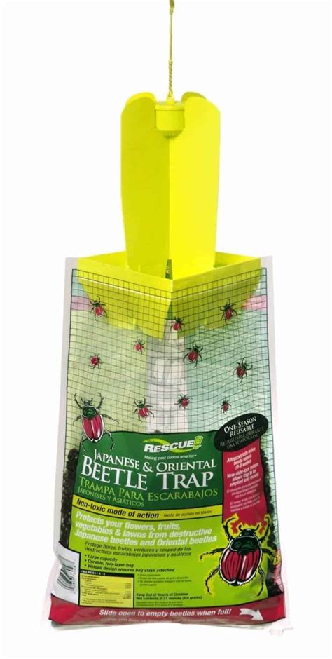 The Best Japanese Beetle Traps In 2020 Which To Choose