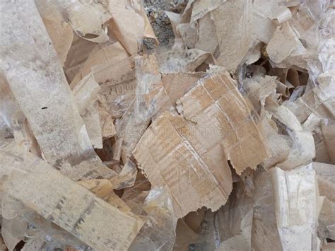 Close Up Of Natural Wood Pulp Cellulose Texture Stock Image Image Of Copy Beige 383134485