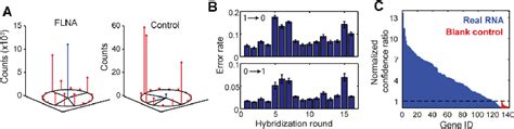 Figure 1 From Rna Imaging With Multiplexed Error Robust Fluorescence In Situ Hybridization
