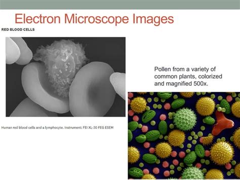 Electron Microscope Principle Operation Procedure Types Tem Sem Em Images Pptx