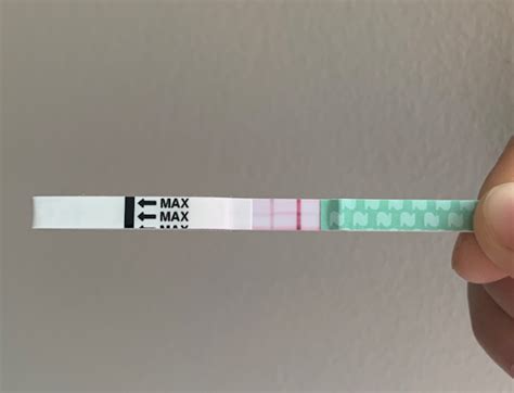 expired pregnancy test can you reuse a pregnancy test natalist