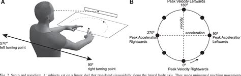 Figure 1 From Transformation Of Vestibular Signals For The Decisions Of Hand Choice During Whole