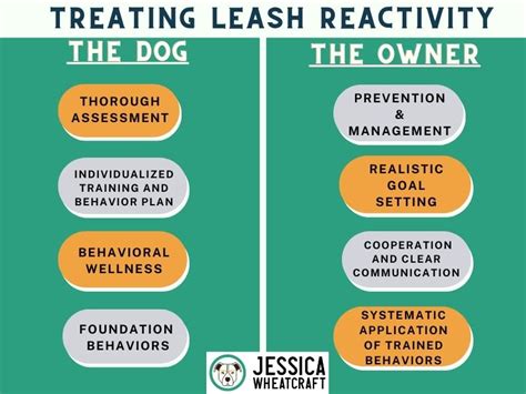 Framework For Treating Leash Reactivity Jessicawheatcraft