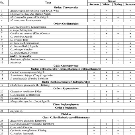 The Epiphytic Algae On Phragmites Australis In Tigris River Of Al Dora