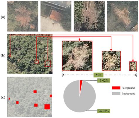 Remote Sensing Special Issue Advanced Artificial Intelligence For Remote Sensing