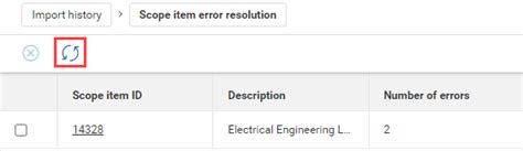 Update Scope Item Quantity By Import