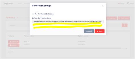 How To Add Multiple Connection String Per Tenant From UI Angular