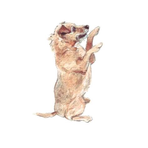 Contact Katherine Tyrer Illustrator