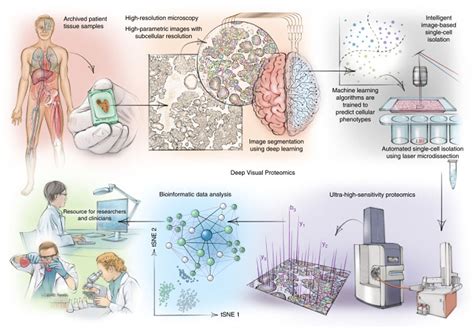 Overcoming The Challenges Of Spatial Proteomics